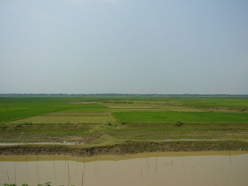 Hakaluki Haor (wetland) | lake, marsh