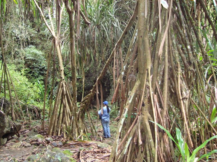 Ubong-Ubong Natural Caves - Ansagan