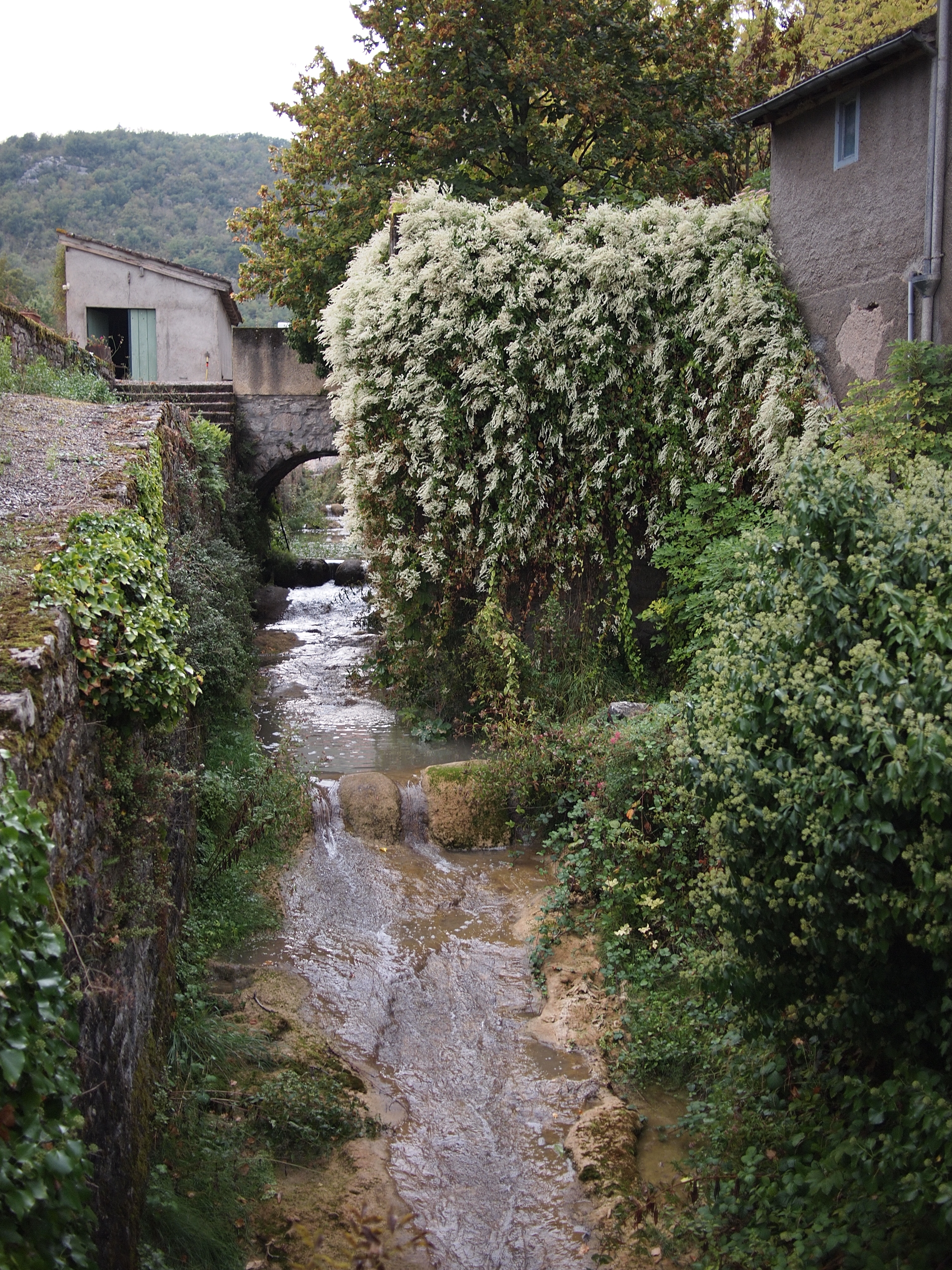 Cabrerets