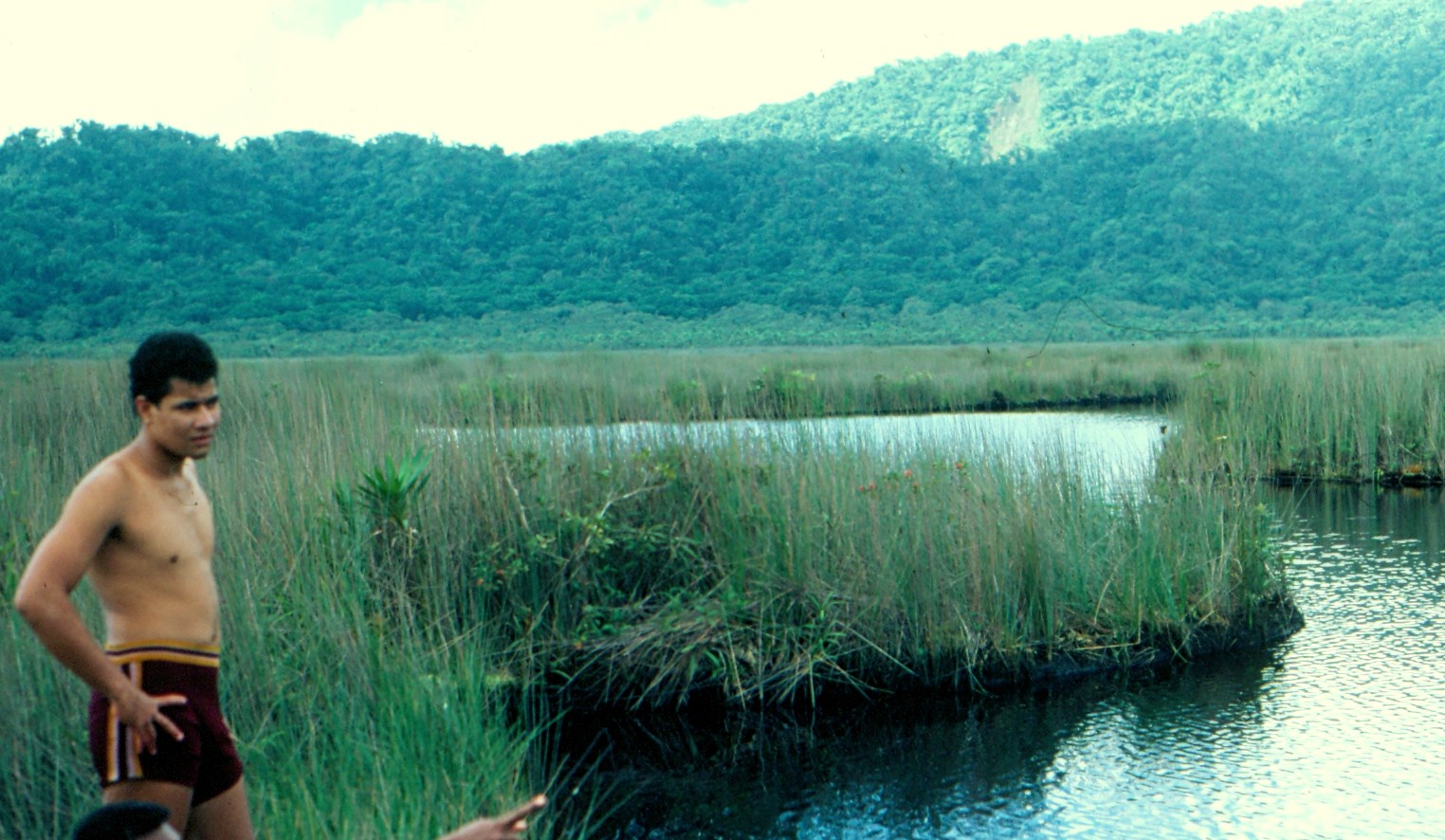 Lake Tagimaucia