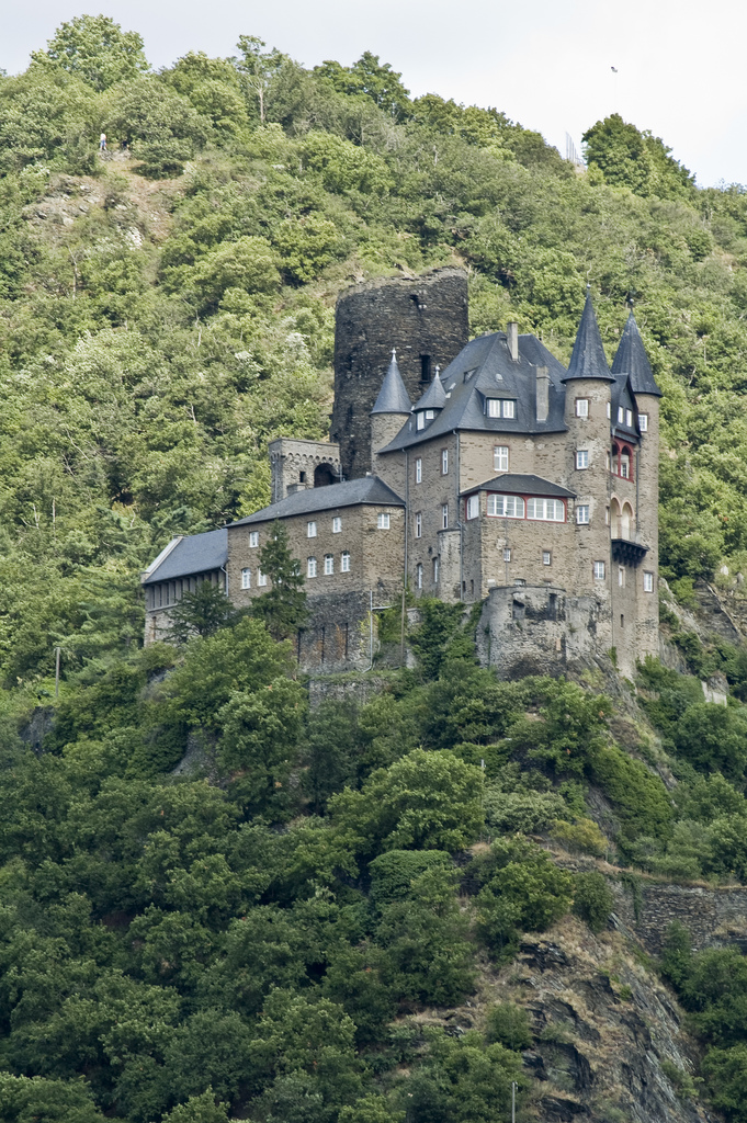Burg Katz (Castle Katz)
