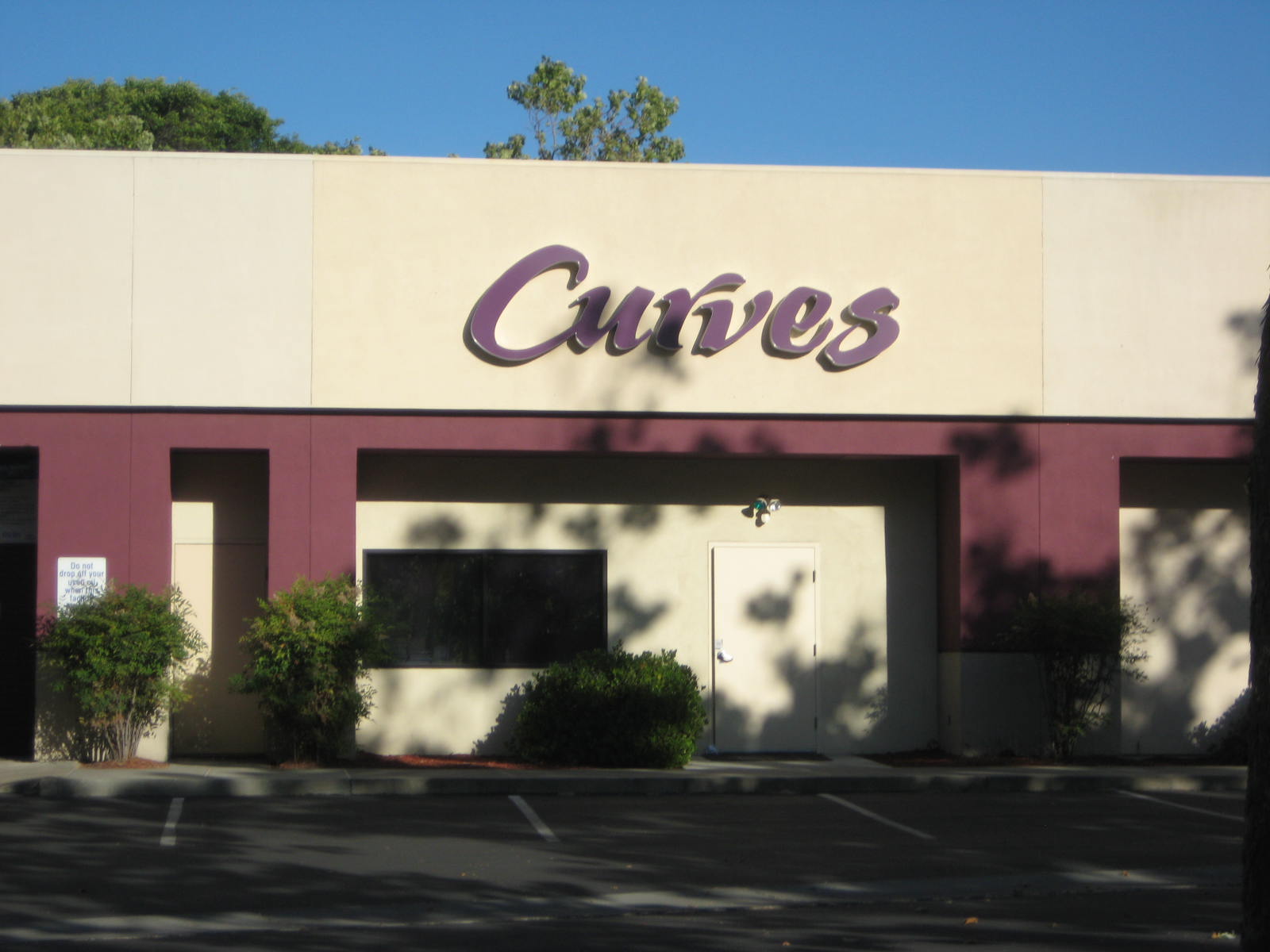 Curves - San Jose, California