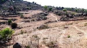 Seshachalam Hills