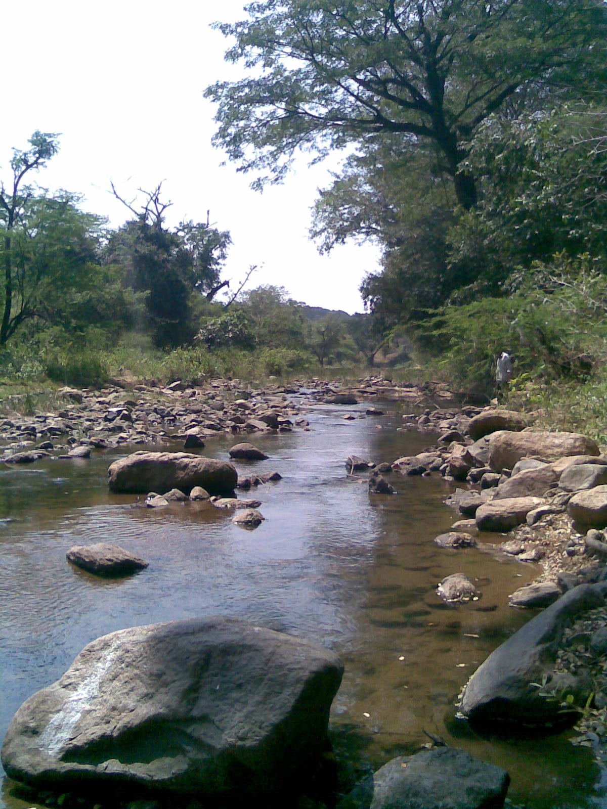 Amrthi Falls