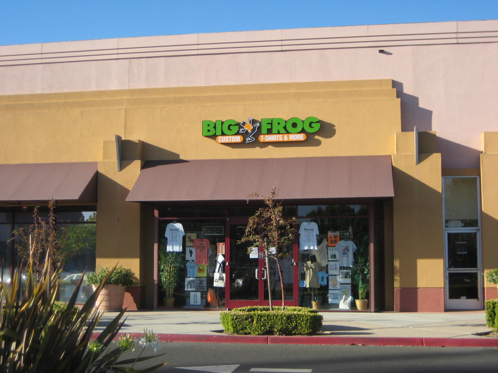 Big Frog - Mountain View, California