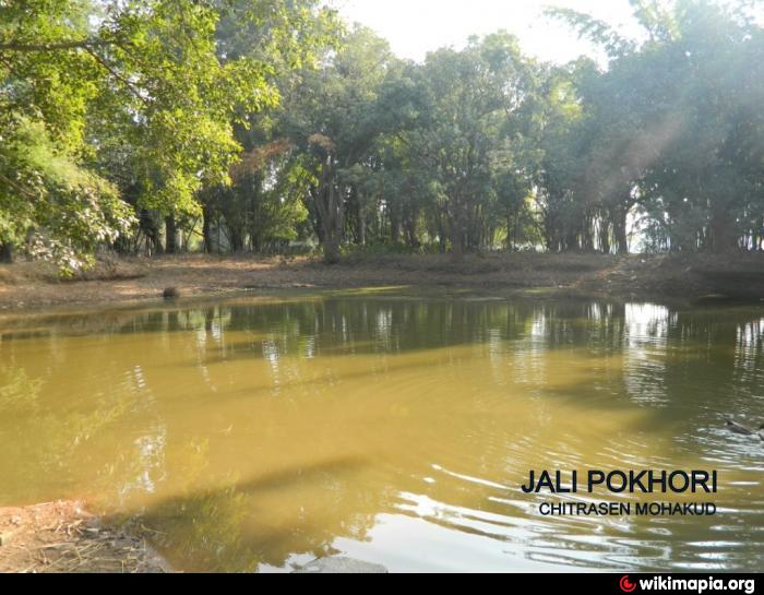 Chitrasen Mohakud's Villa