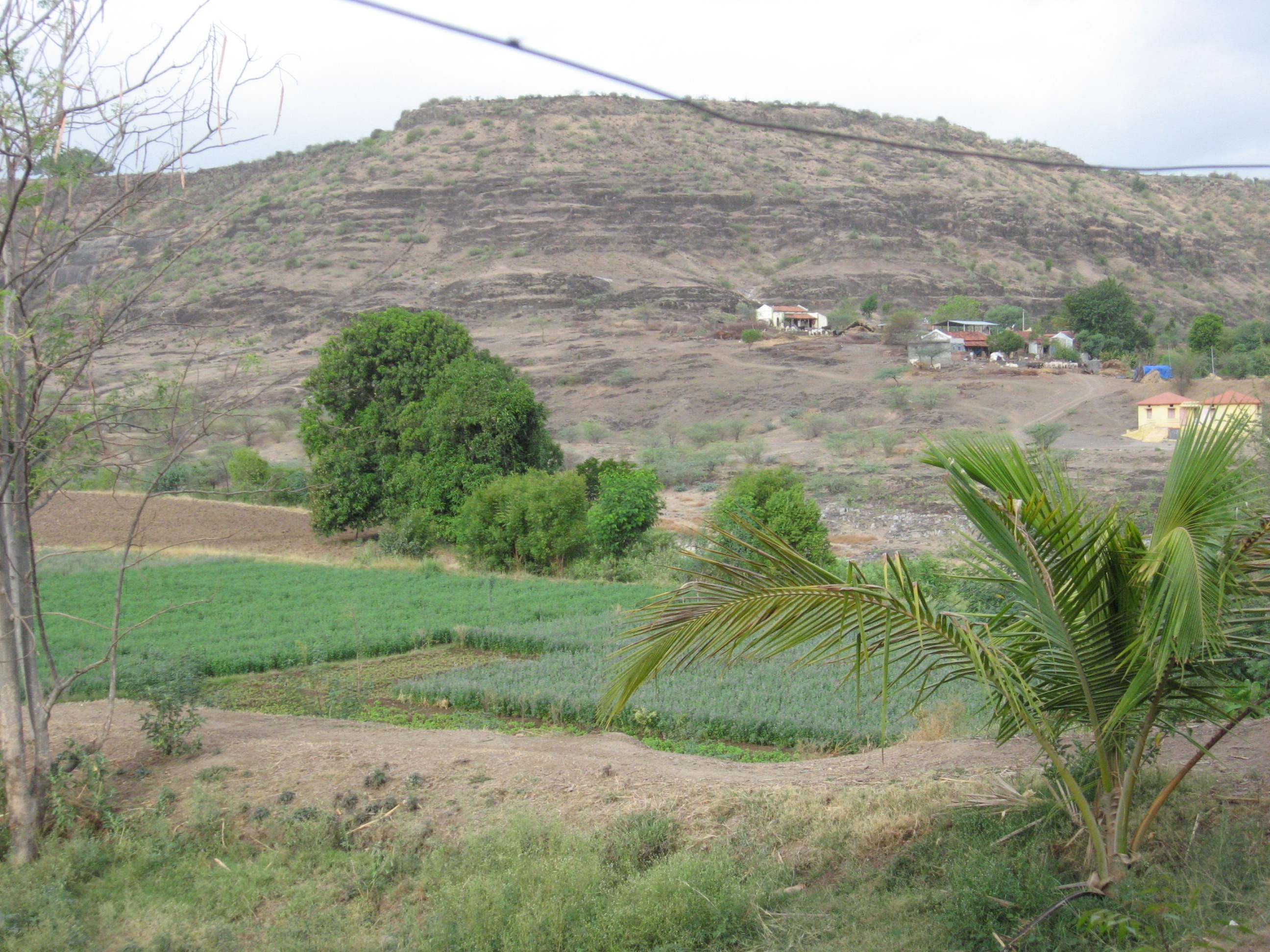 Bhaskar Patil Farms (II)