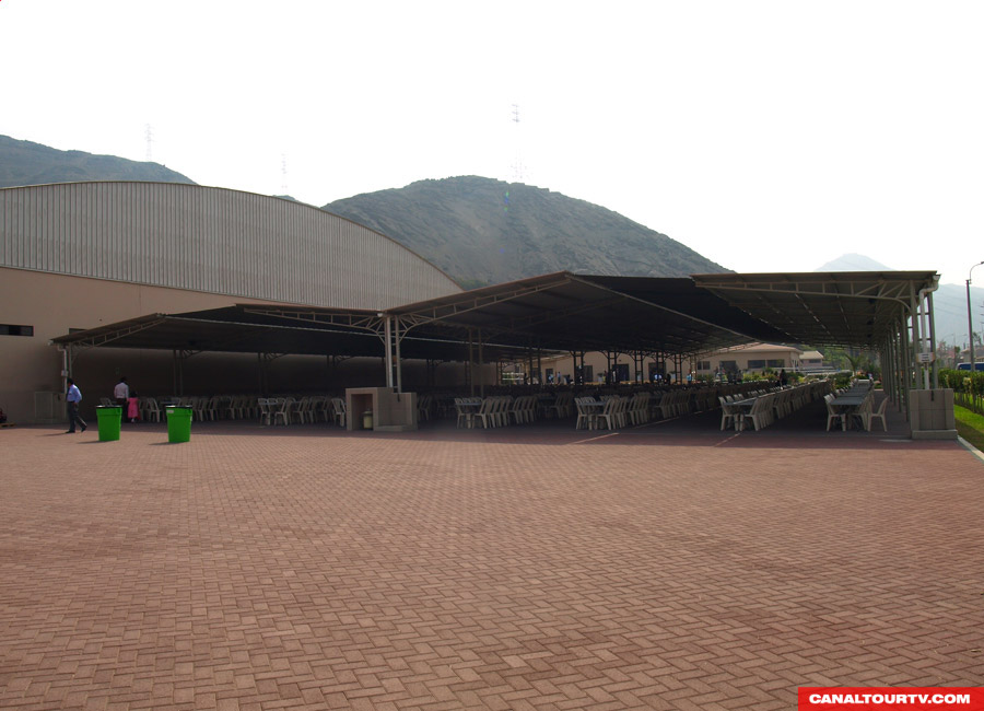 Assembly Hall of the Jehovah's Witnesses - Lima | forest, religion ...