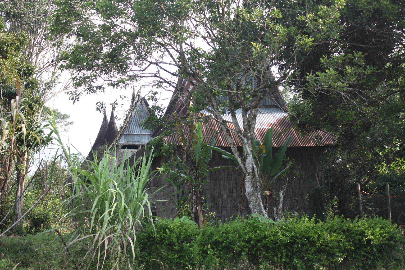 Rumah Gadang Suku Jambak - Koto Marapak Village