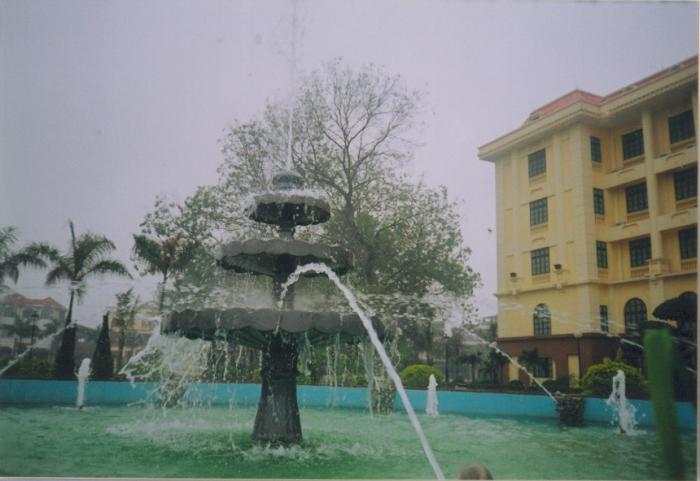 Dinh Vi Village