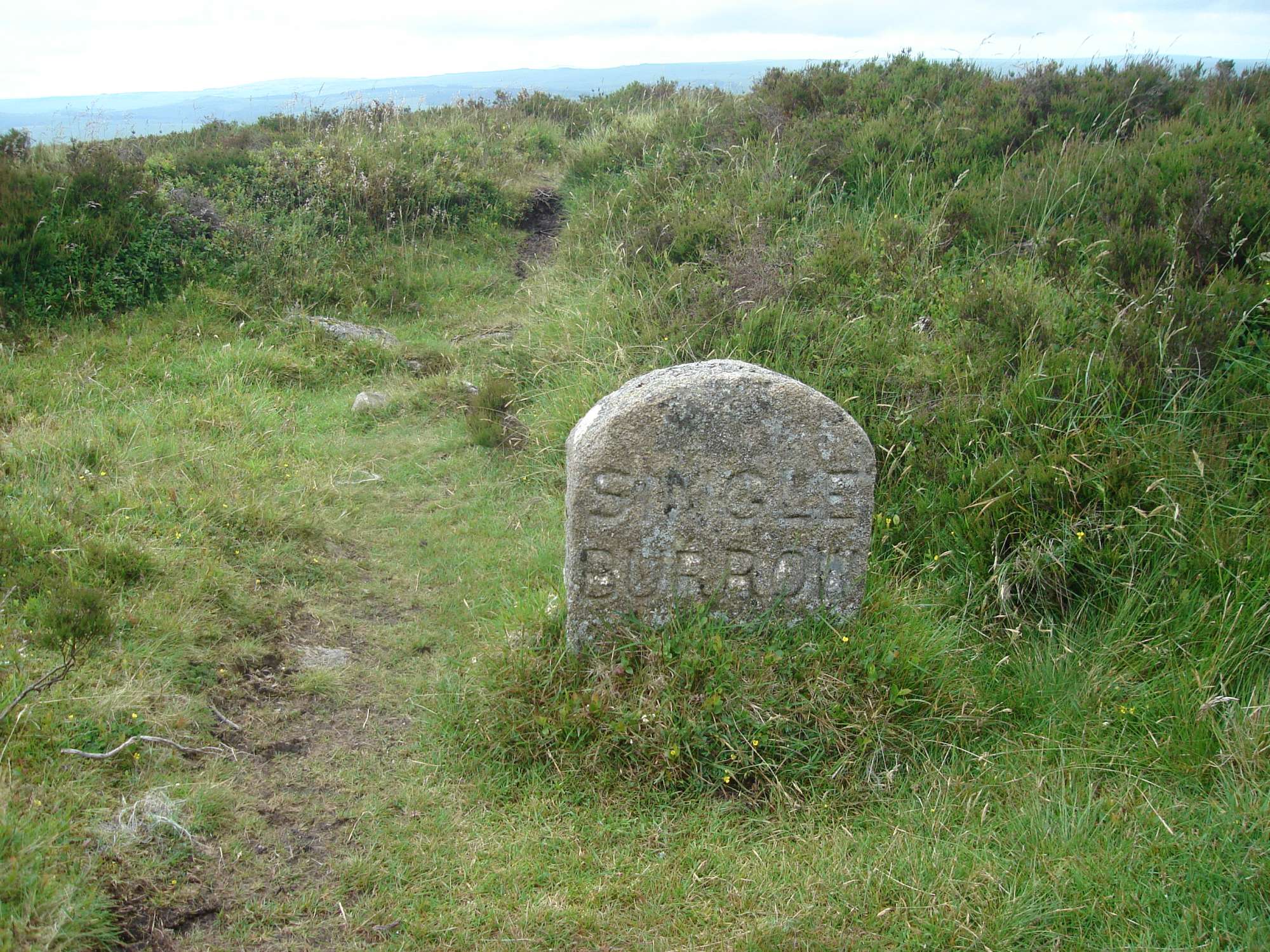 Single Barrow