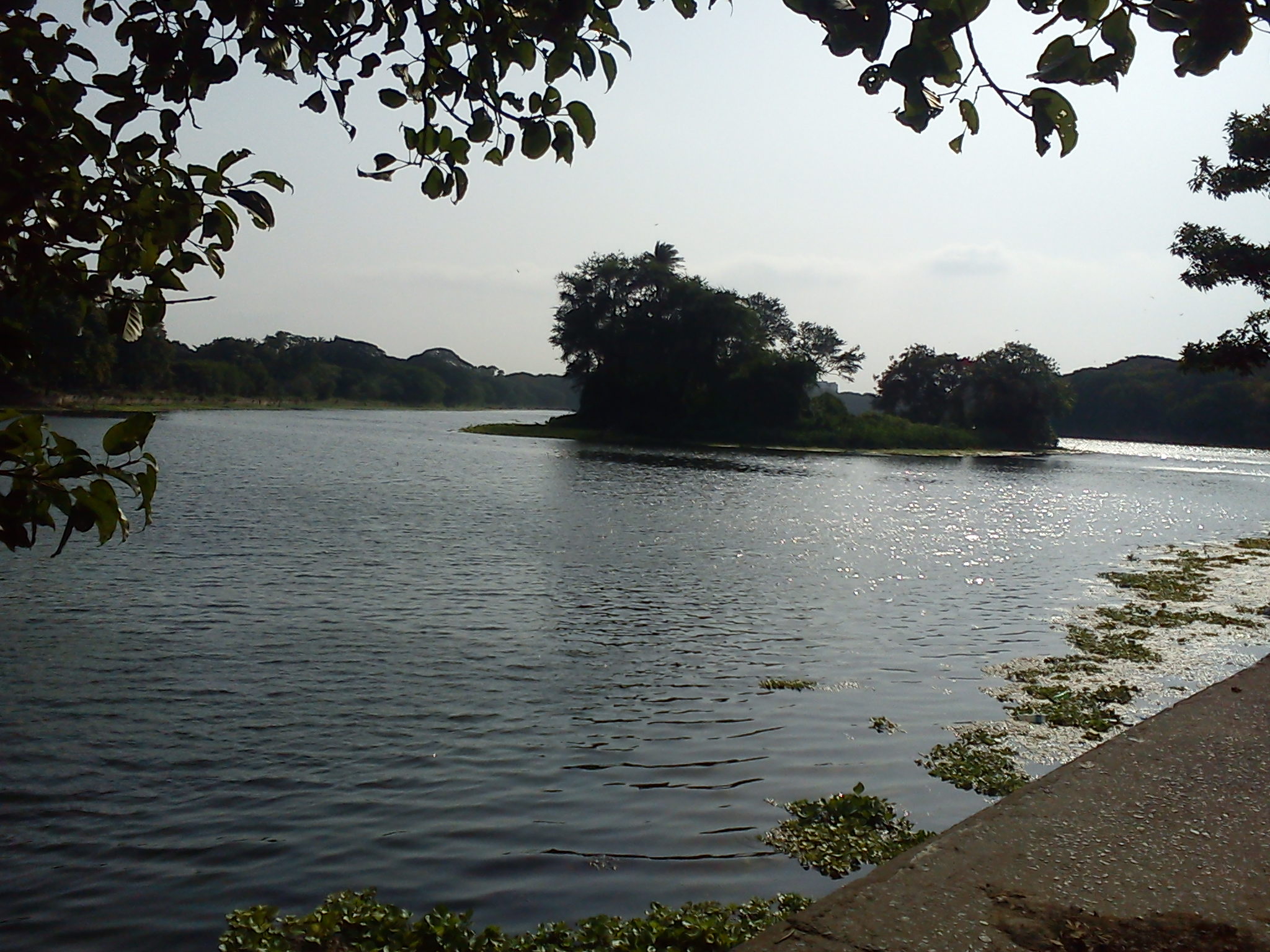 Rabindra Sarobar (Dhakuria Lake) - Kolkata