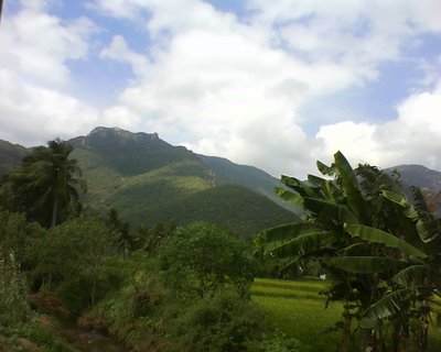 Kolli Hills