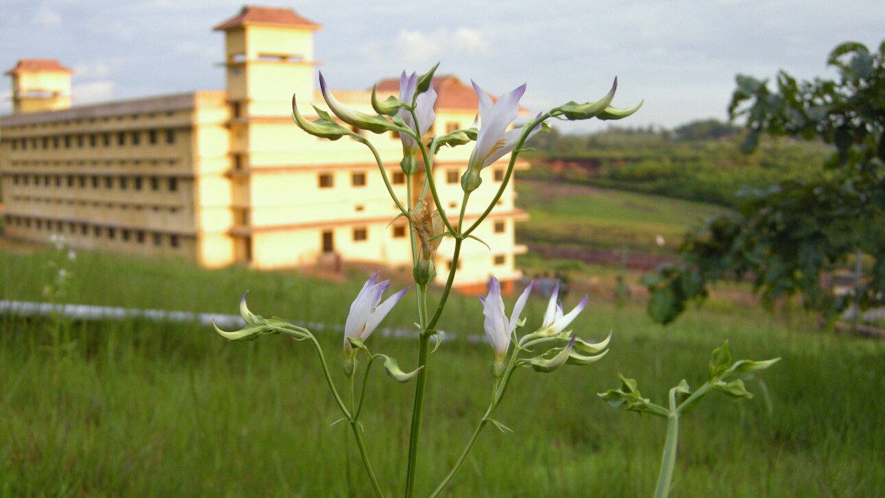 LBS College of Engineering , Kasaragod