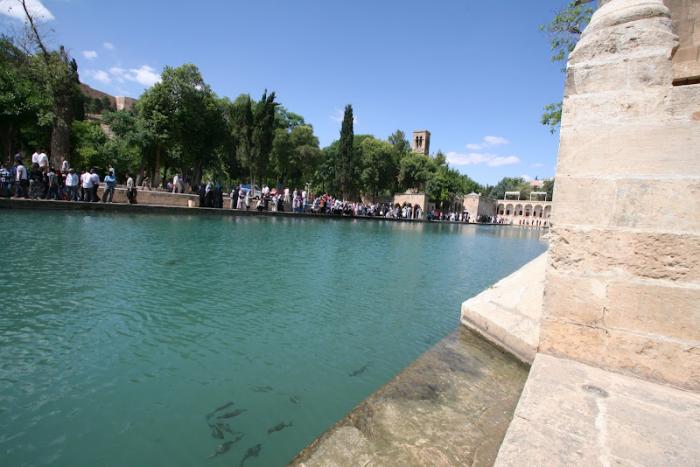 The Pool of Abraham - Şanlıurfa Metropolitan Municipalty