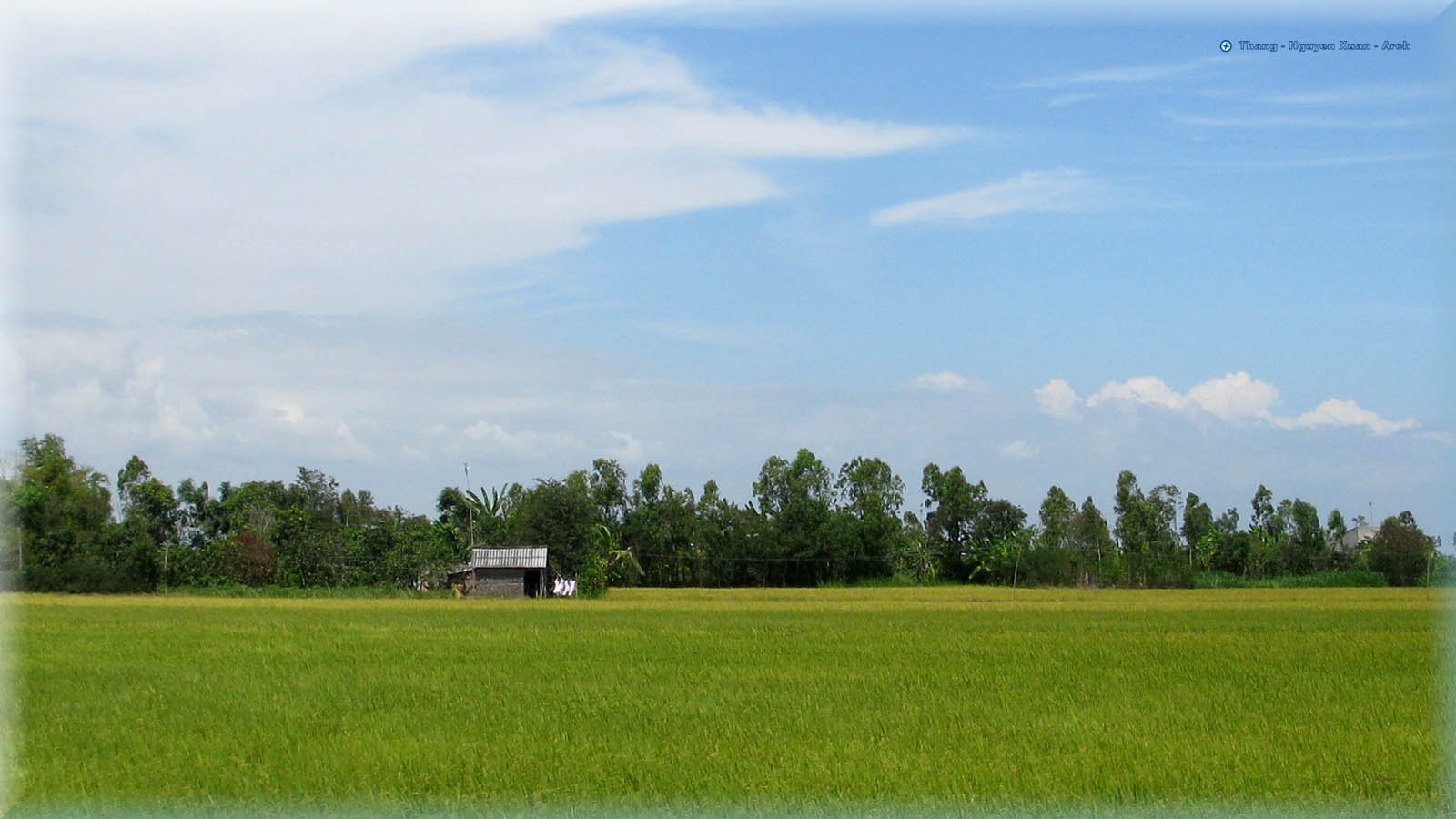 Go Cong Dong district