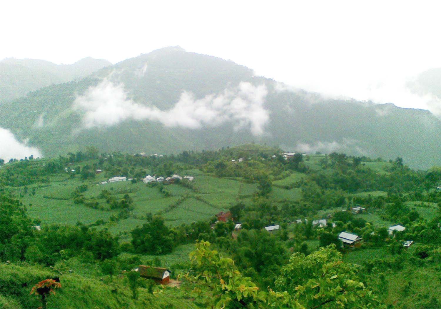 Bougha Pokhara Thok VDC - bougha pokharathok vdc Narendra Ale