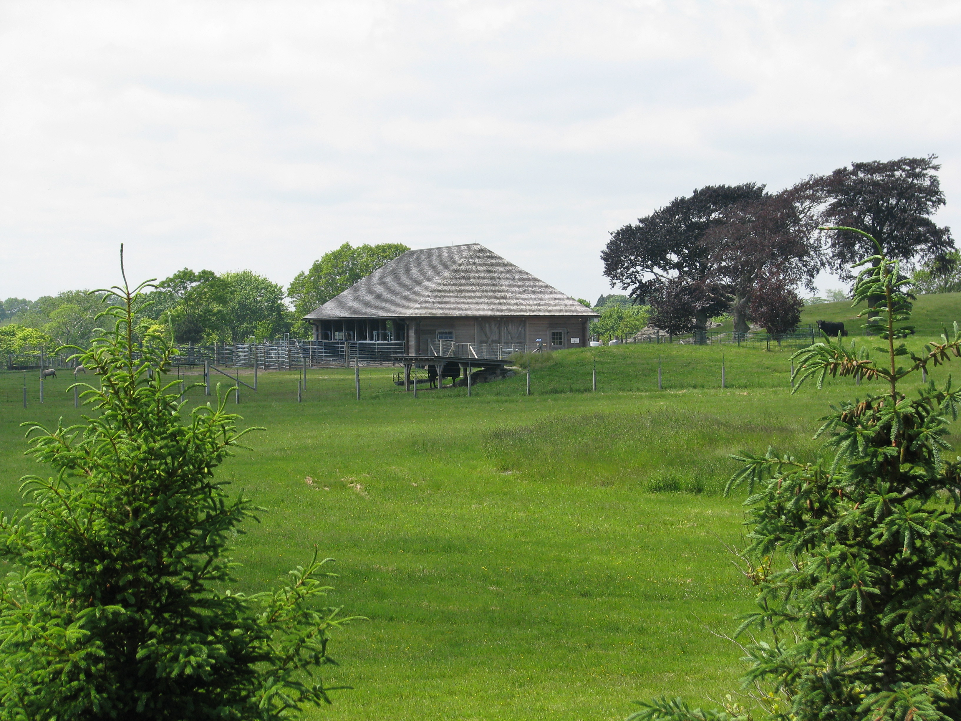 Surprise Valley Farm, Swiss Village (SVF Foundation) - Newport, Rhode ...