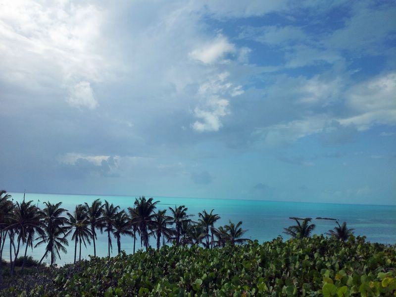 Isla Contoy (Español)