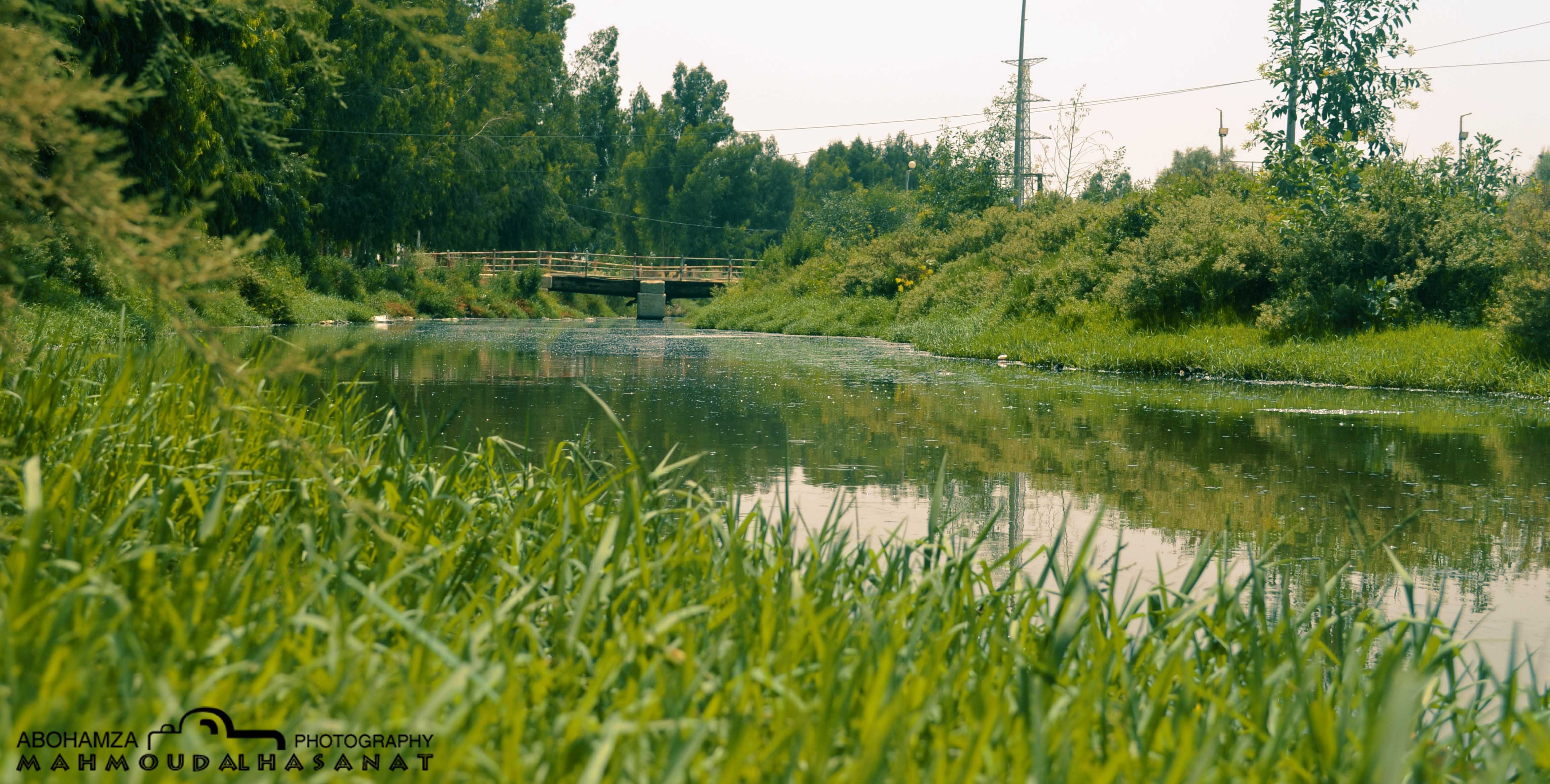 Wadi Gaza | uad / wad / wadi