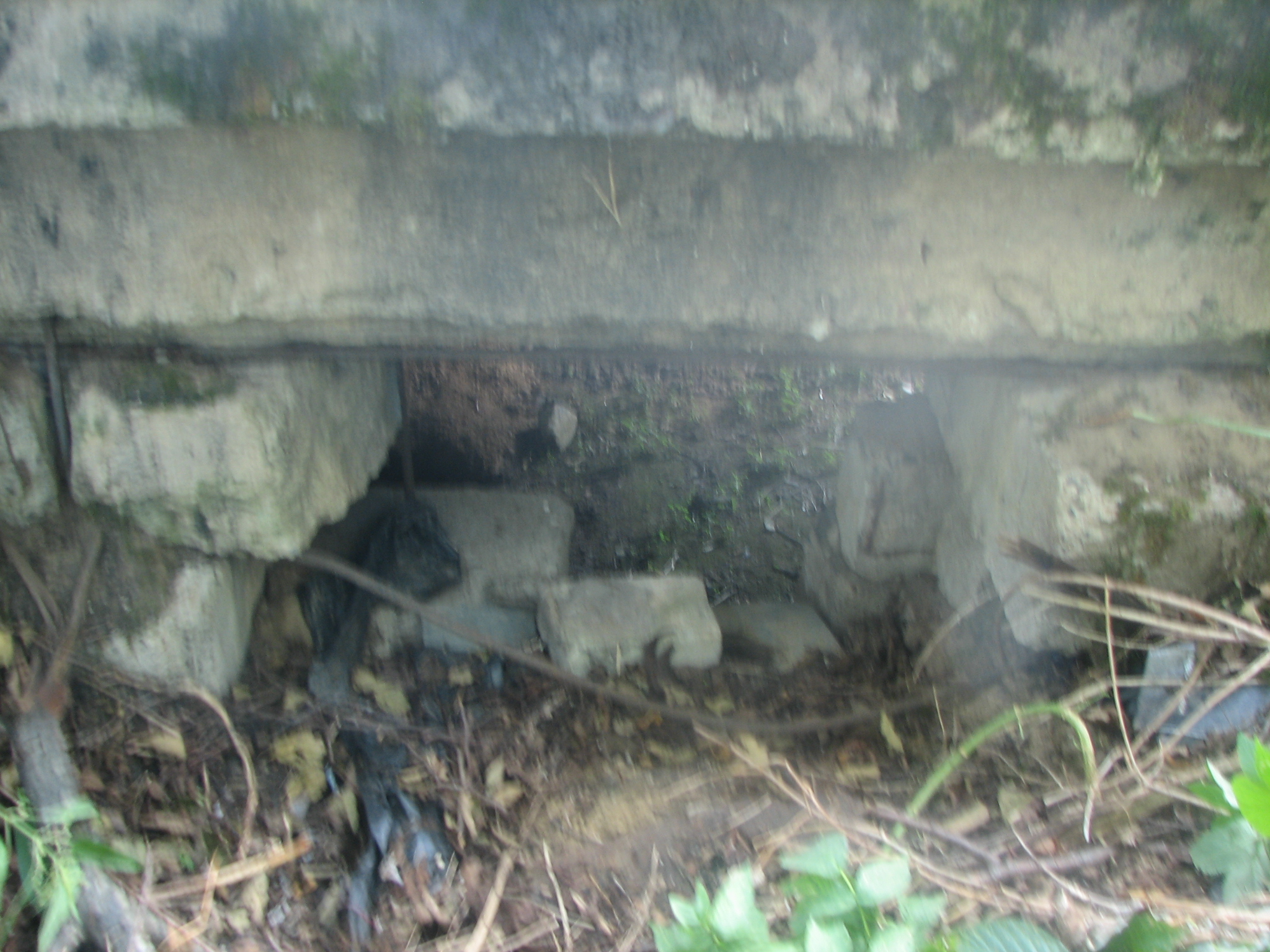 Немецкий пулеметный ДОТ DM-12 - Муя