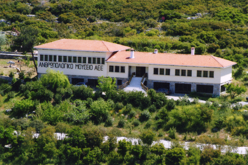 Petralona Anthropological Museum | anthropology