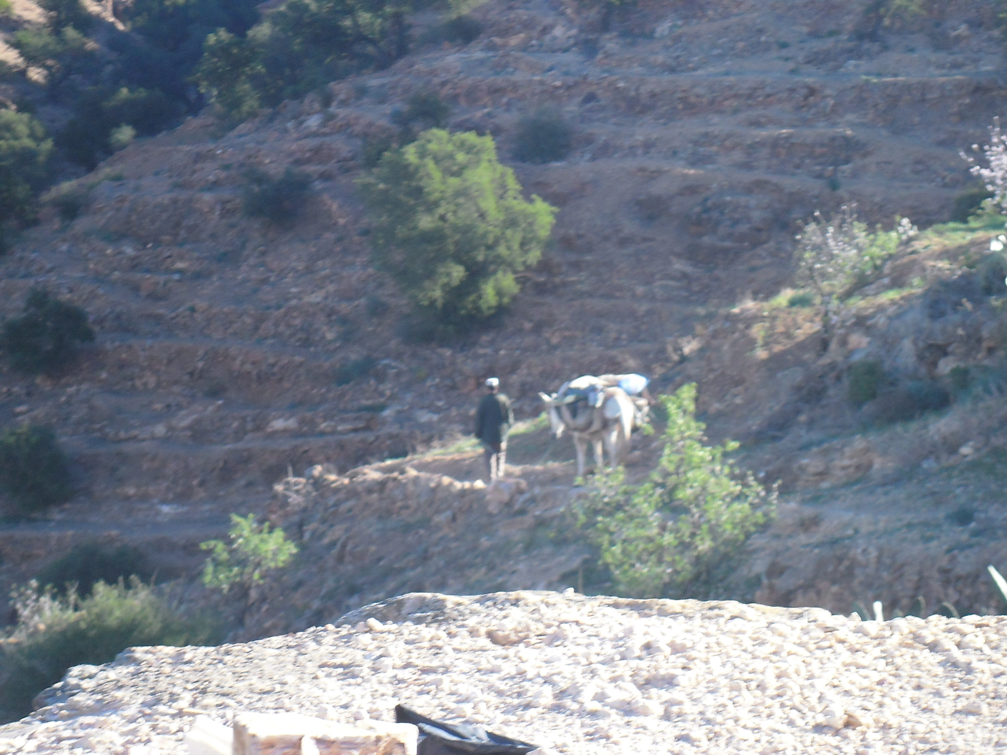 douar ( Tilazine + ighil ) تلازين + اغيل لبرج