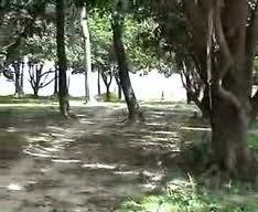 Laxmisagar pond - Darbhanga