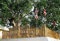 Shaiv Math - Bodh Gaya