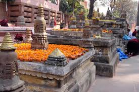 Bodhi Tree - Bodh Gaya