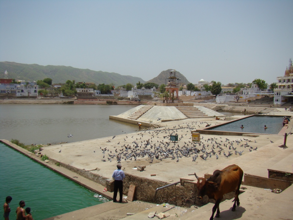 Pushkar Lake - Pushkar