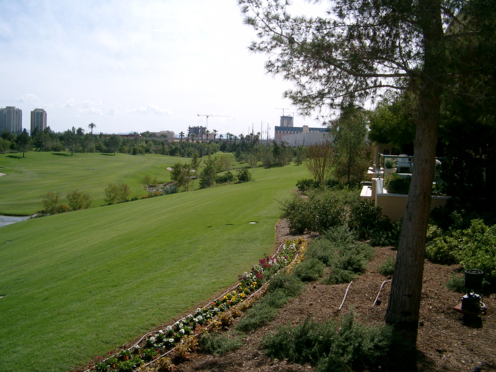 Wynn Golf Club
