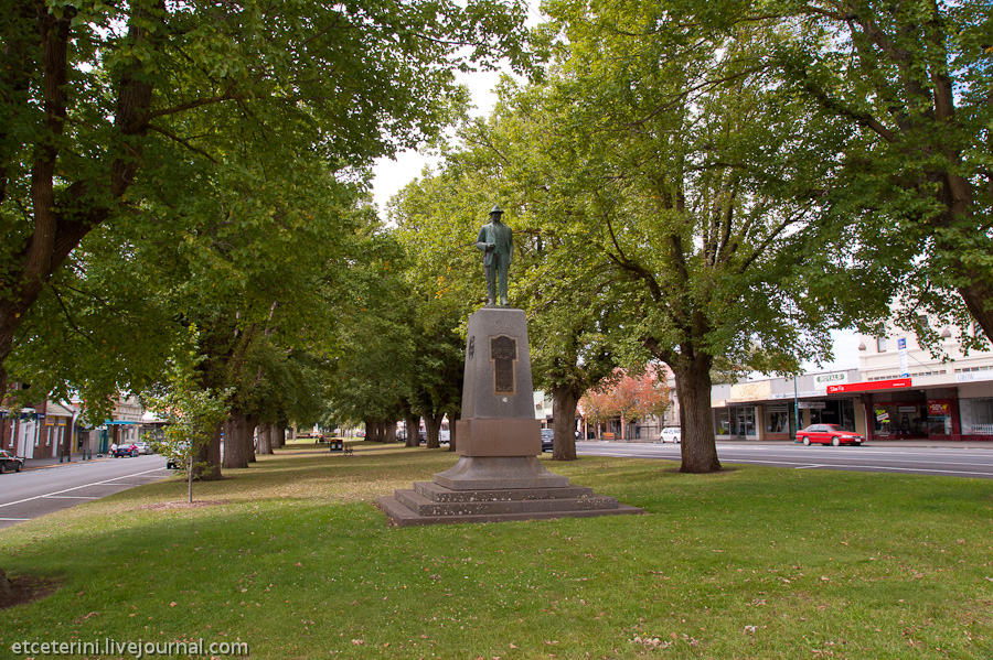 Camperdown | town