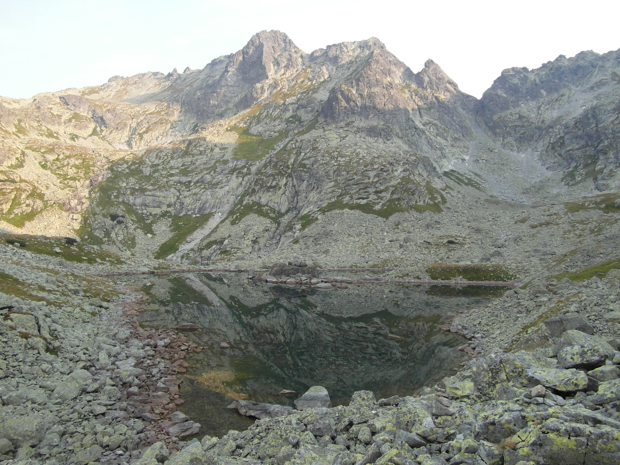 Rysai - Brzegi