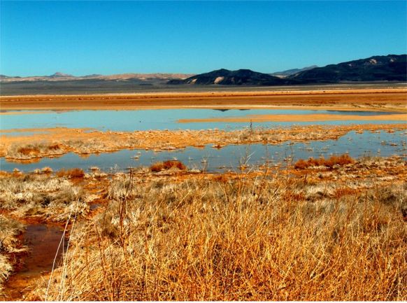 Harper Dry Lake