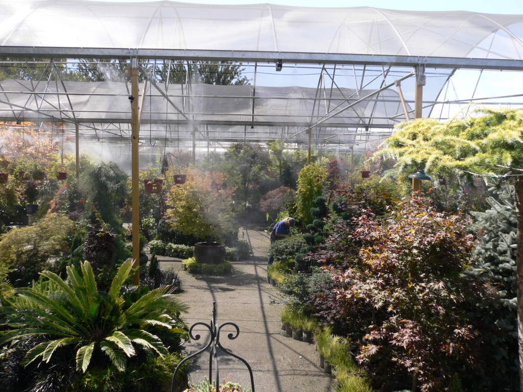 High-Hand - Loomis, California