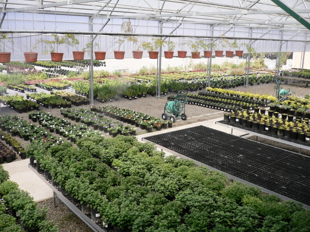 High-Hand - Loomis, California