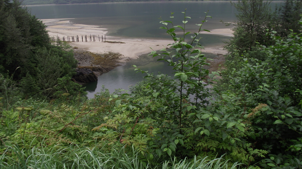 Treadwell Gold Mine: The Great Cave-in (a/k/a Cave-in Cove) - Juneau ...