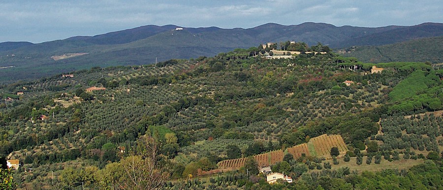Castagneto Carducci