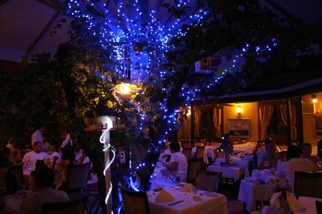 Trilye Restaurant - Ankara Büyükşehir Belediyesi