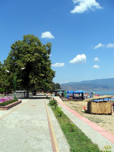 Star Dojran