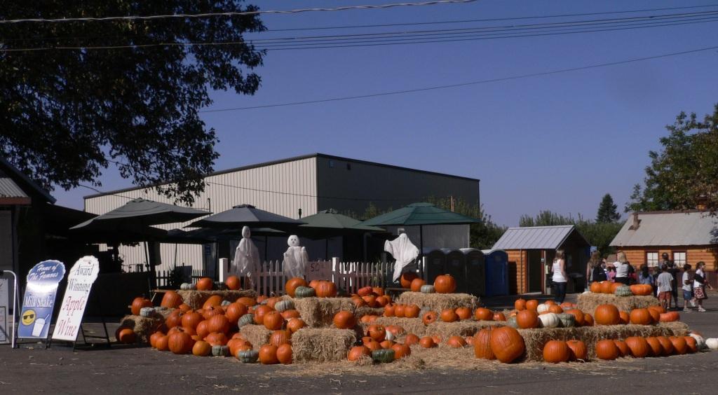 High Hill Ranch | orchard / fruit garden, tourist attraction