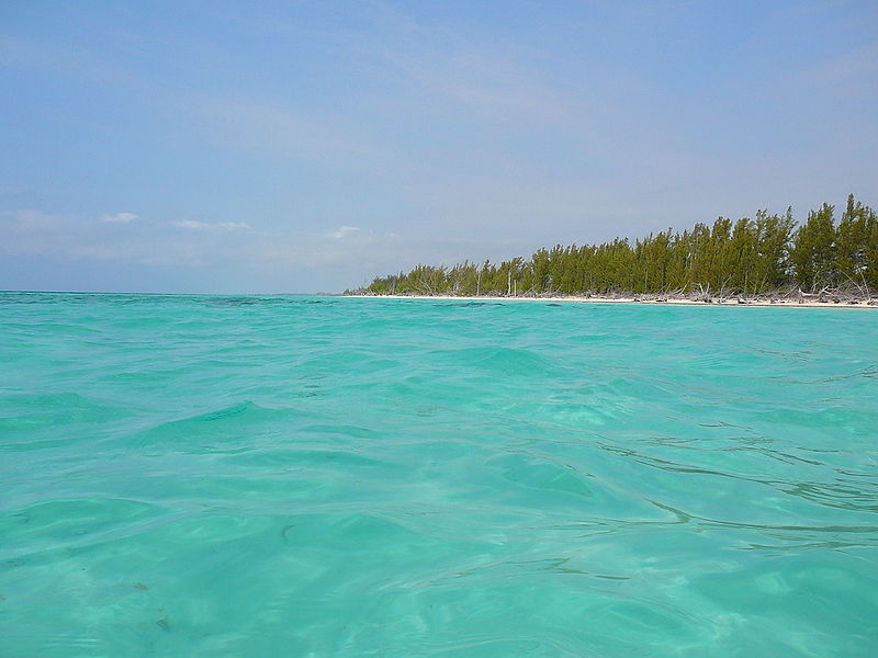 Grand Bahama (English)