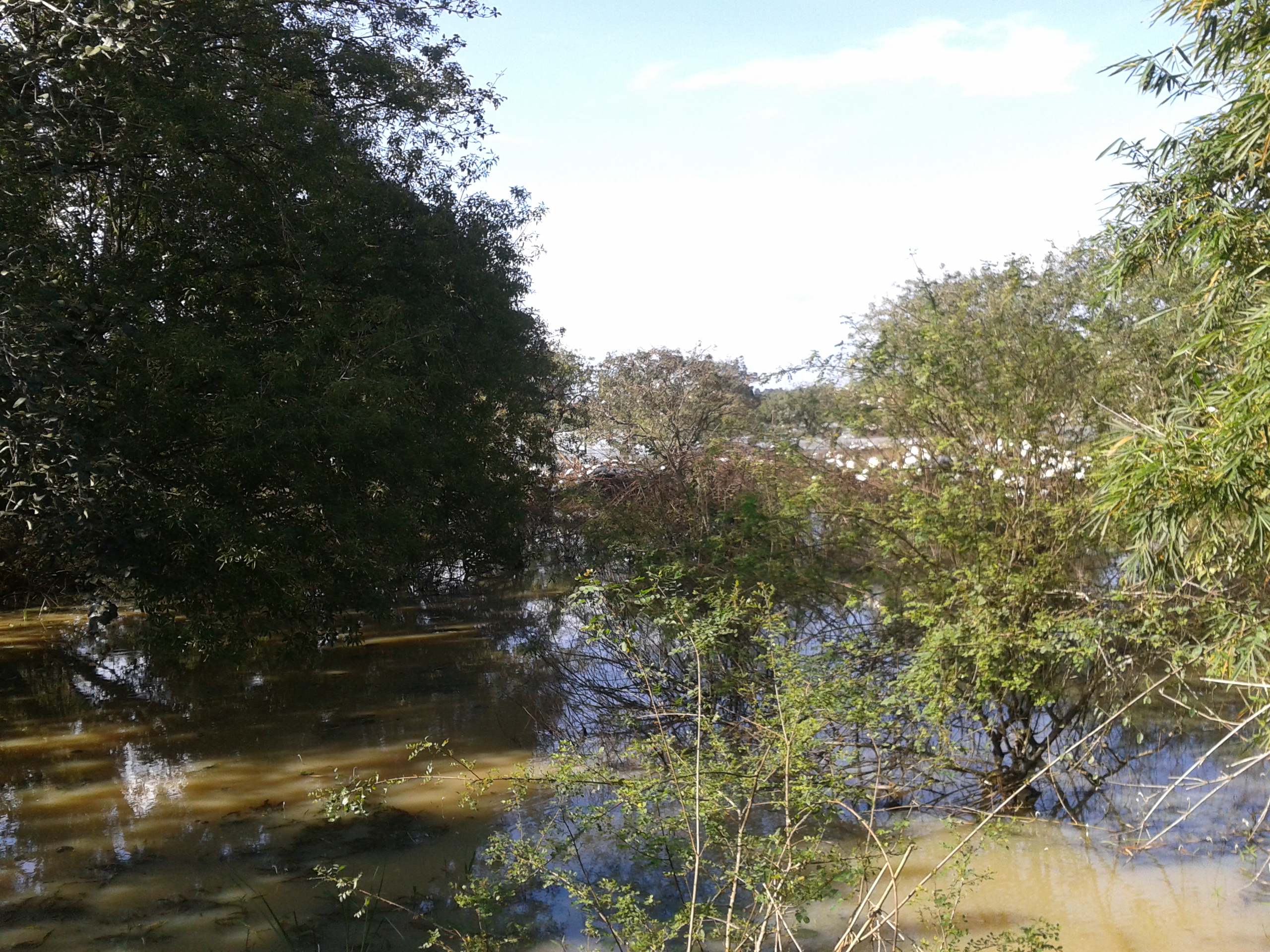 Gudavi Bird Sanctuary