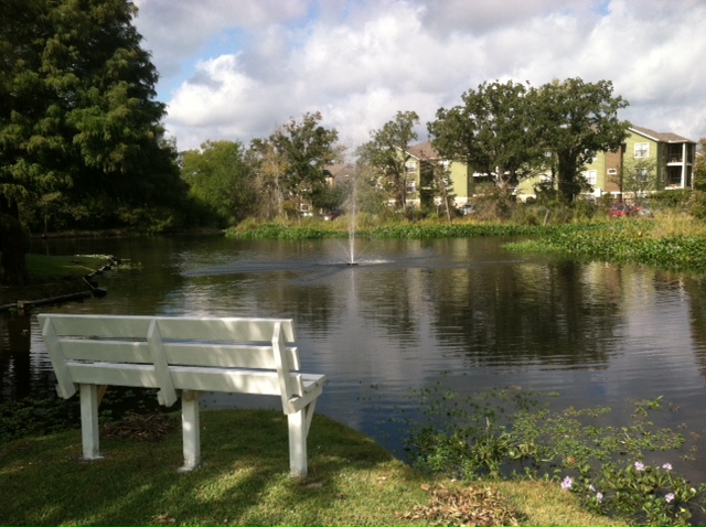 Walden Pond - College Station, Texas