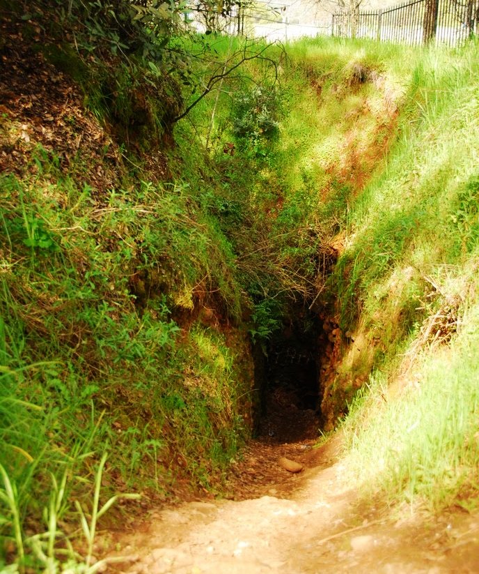 Chinese Diggings - Folsom, California