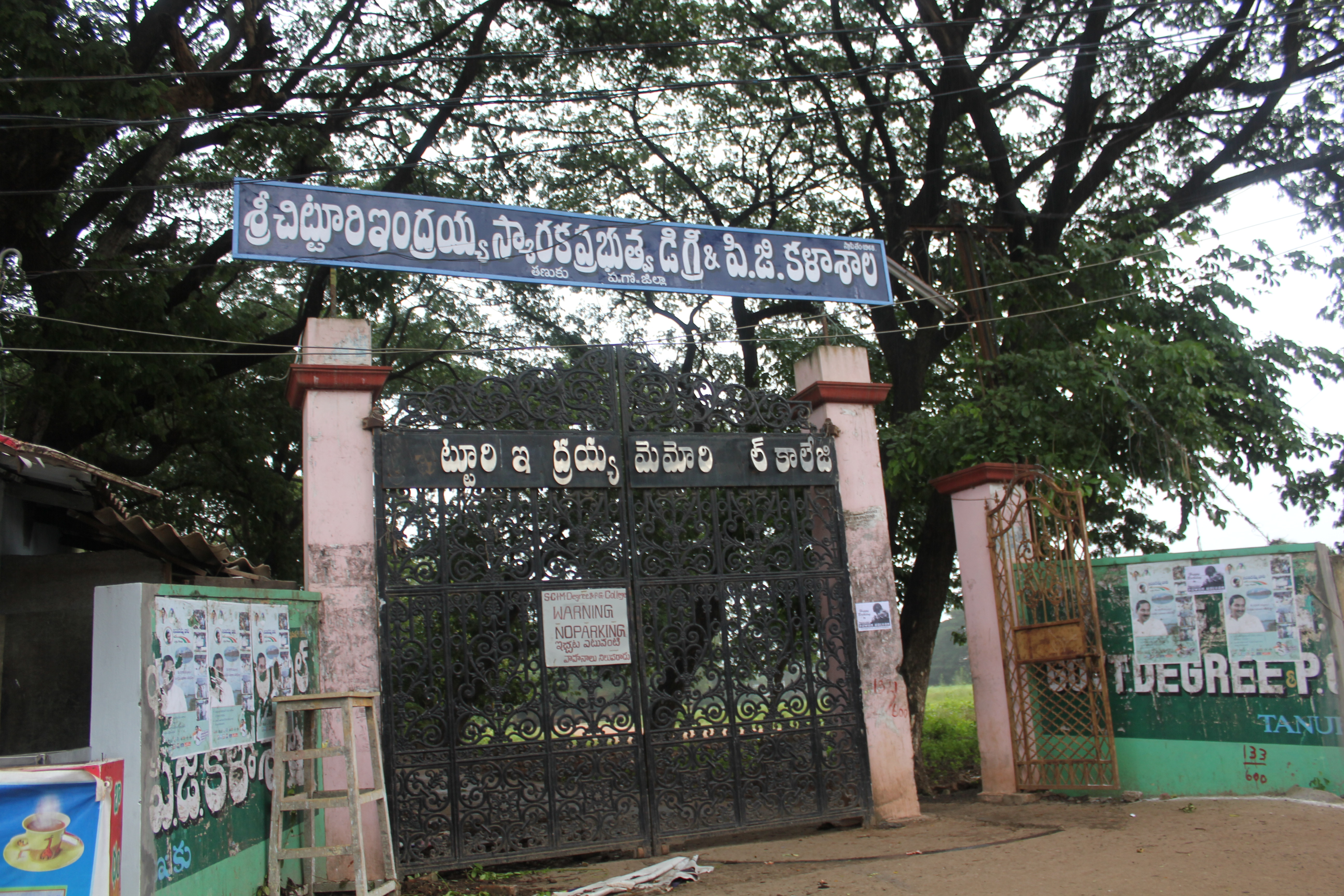 Tanuku - JungleKey.in Image