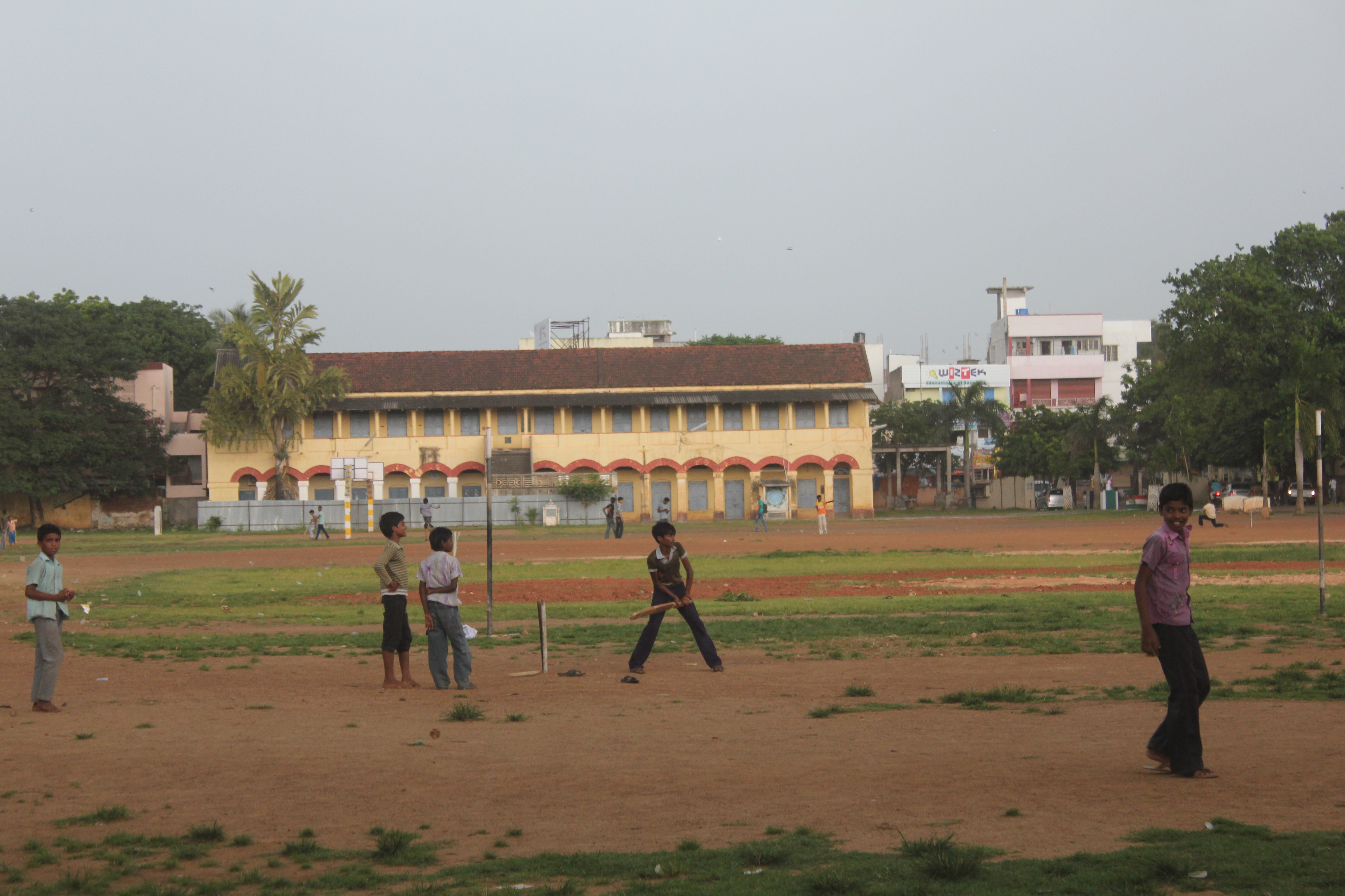 Tanuku - JungleKey.in Image