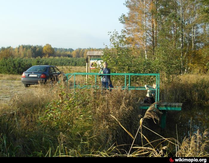 Military platform - Płytnica
