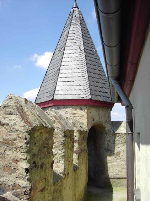 Nassau Castle (Burg Nassau)